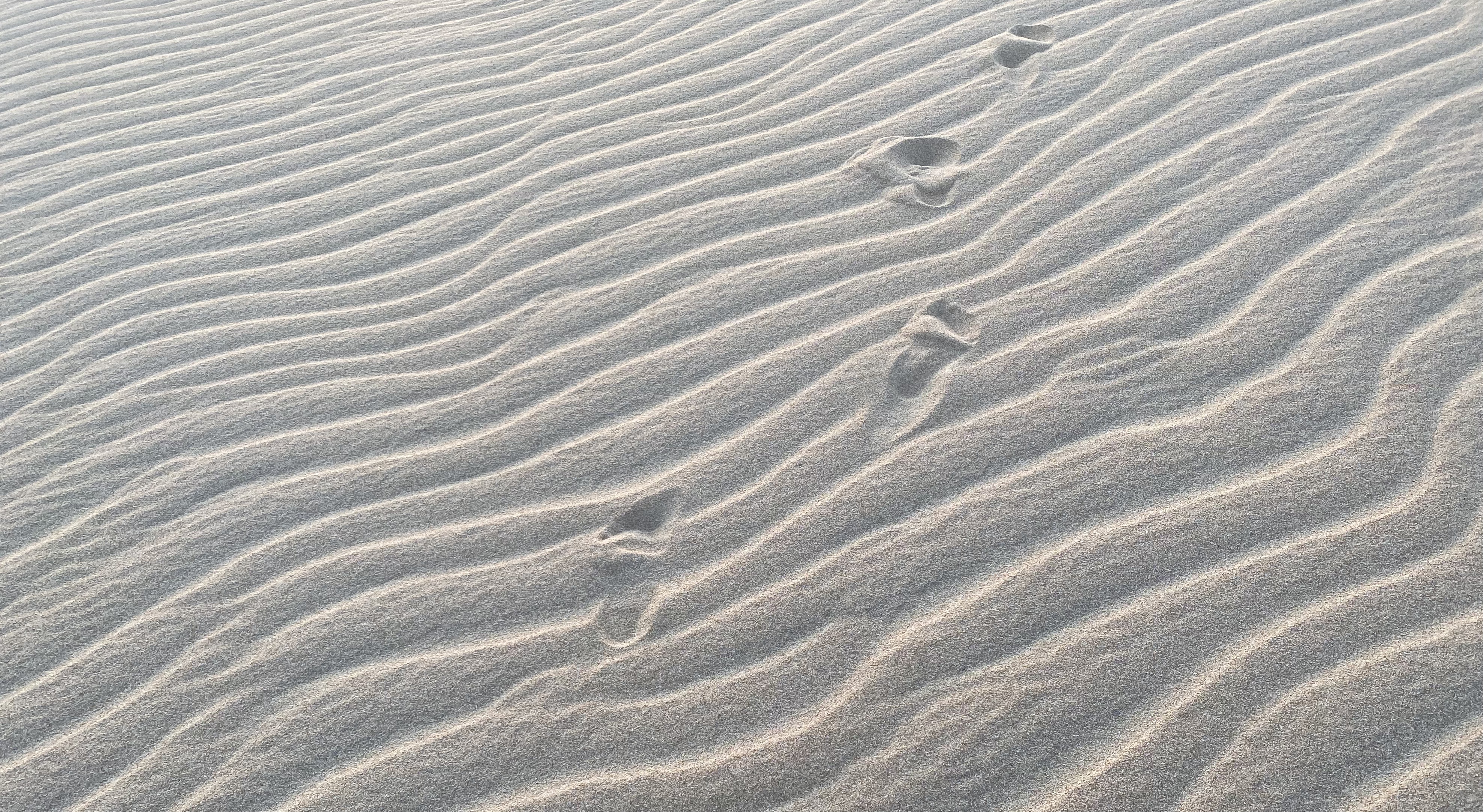 7 steps back and 7 steps forward – Gesturing Towards Decolonial Futures